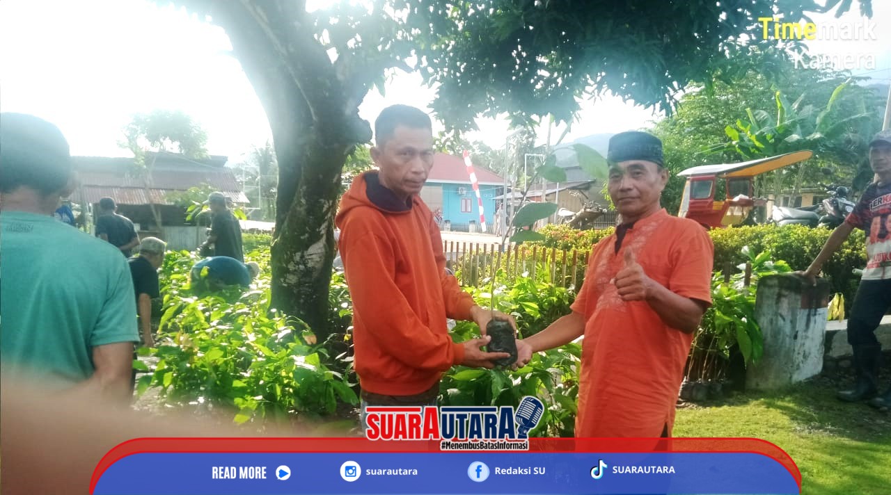 Pemdes Tadoy 1 Salurkan Bantuan Program Ketapang 5000 Bibit Kakao dan ...